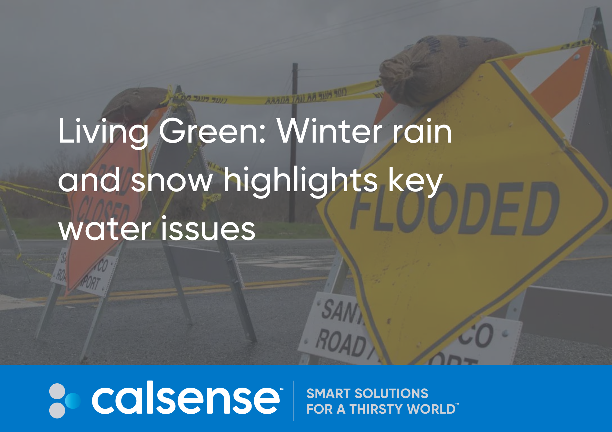 Living Green: Winter rain and snow highlights key water issues | Calsense