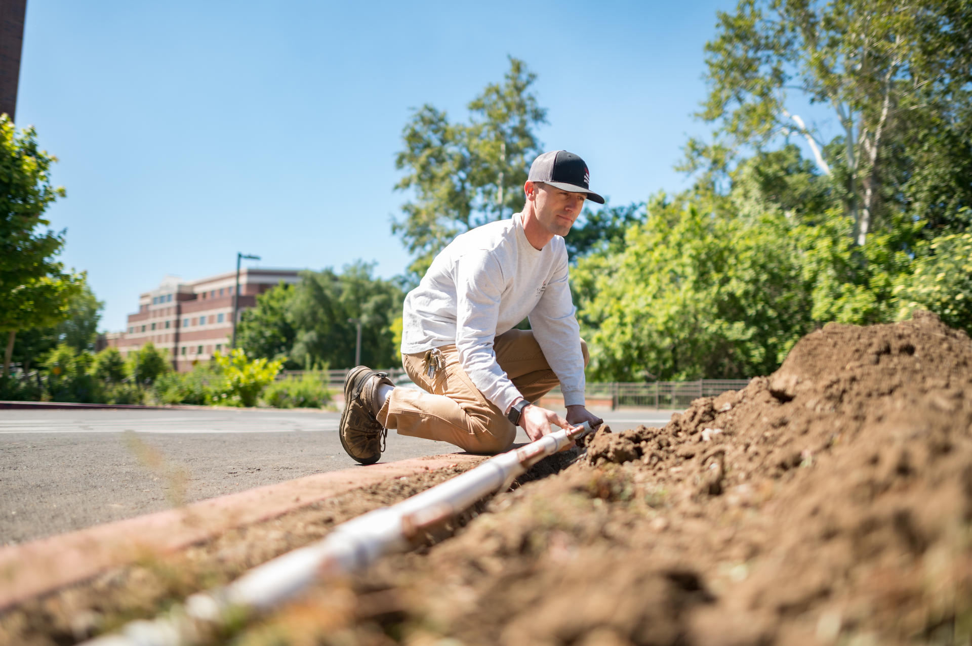 California State University, Chico - Calsense | Calsense