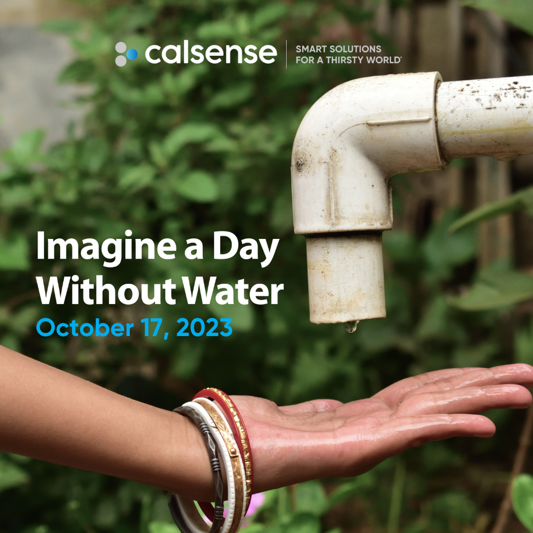 A Day Without Water: Why Every Drop Counts in Irrigation - Calsense ...