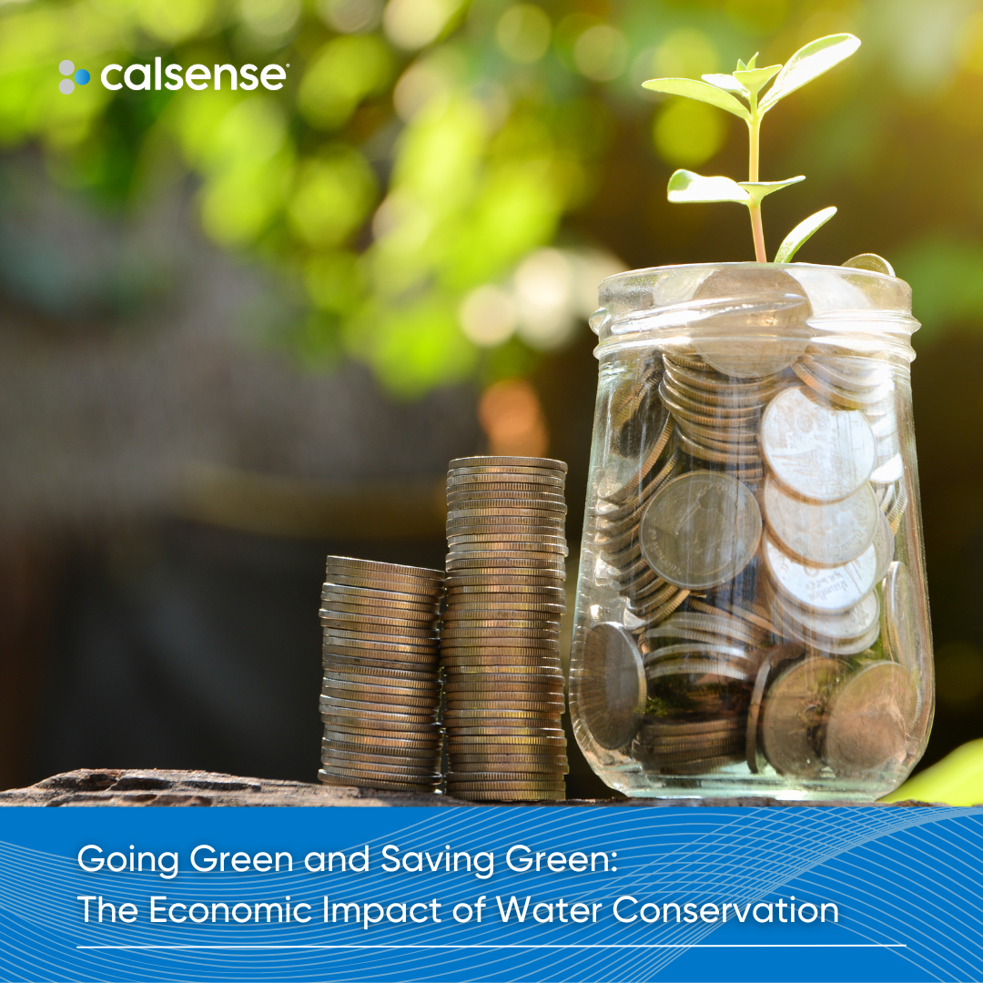 Going Green and Saving Green: The Economic Impact of Water Conservation ...