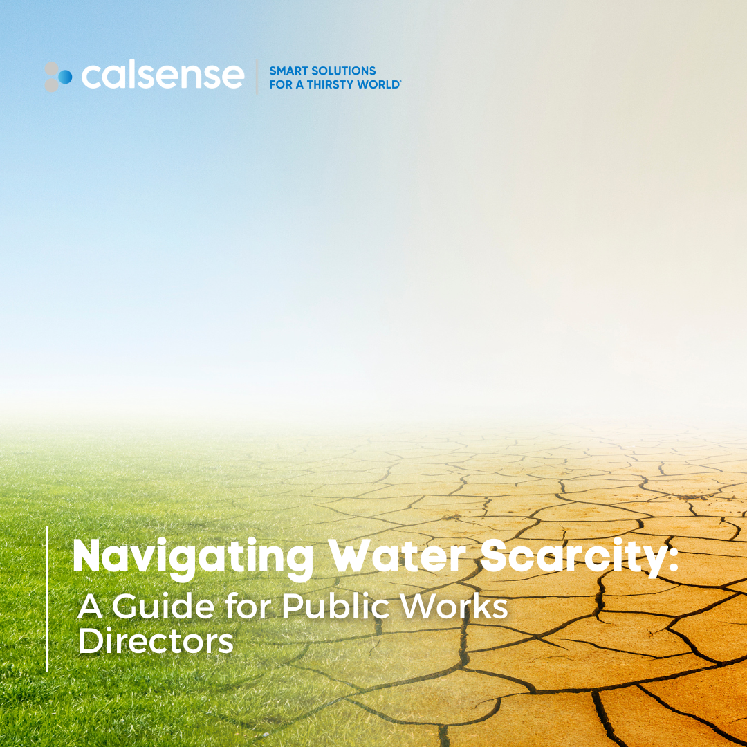 Smart Strategies for Public Works Directors to Combat Water Scarcity ...